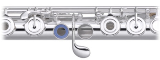 Information to Help with a Flute Purchase & Other Cool Information ...